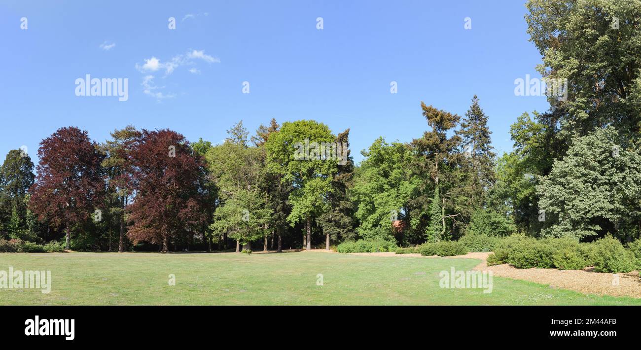 Massive summer landscape of open space with trees of various colors ...