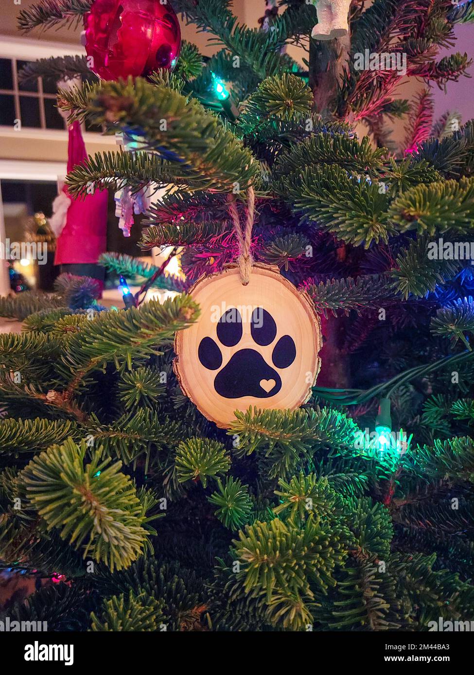 Dog paw print on wooden holiday ornament hanging on a pine tree Stock ...