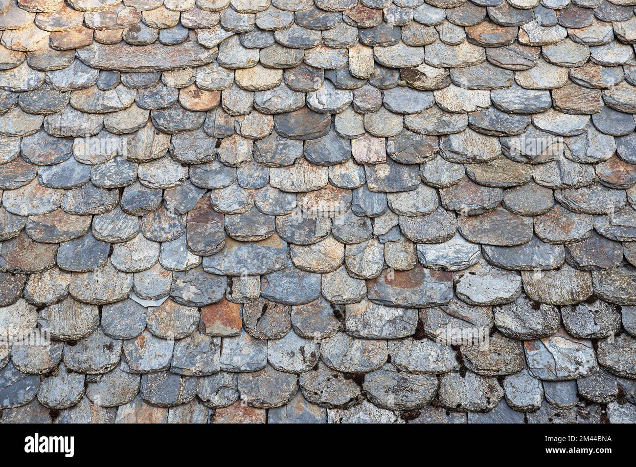 Rounded roof tiles hi-res stock photography and images - Alamy