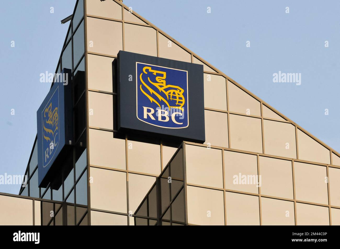 Rbc Banque Royale Logo