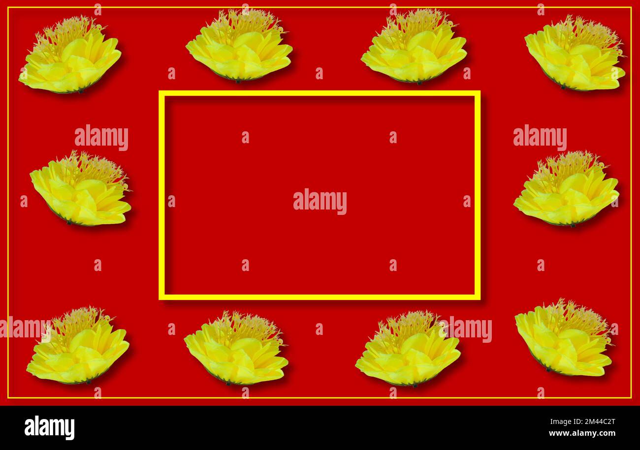 yellow frame on the red background, around frame yellow flower head ...