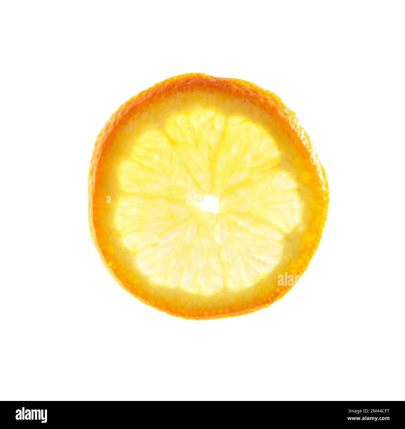 Summer coral orange slice. Citrus food diet. Fruit round juicy concept ...