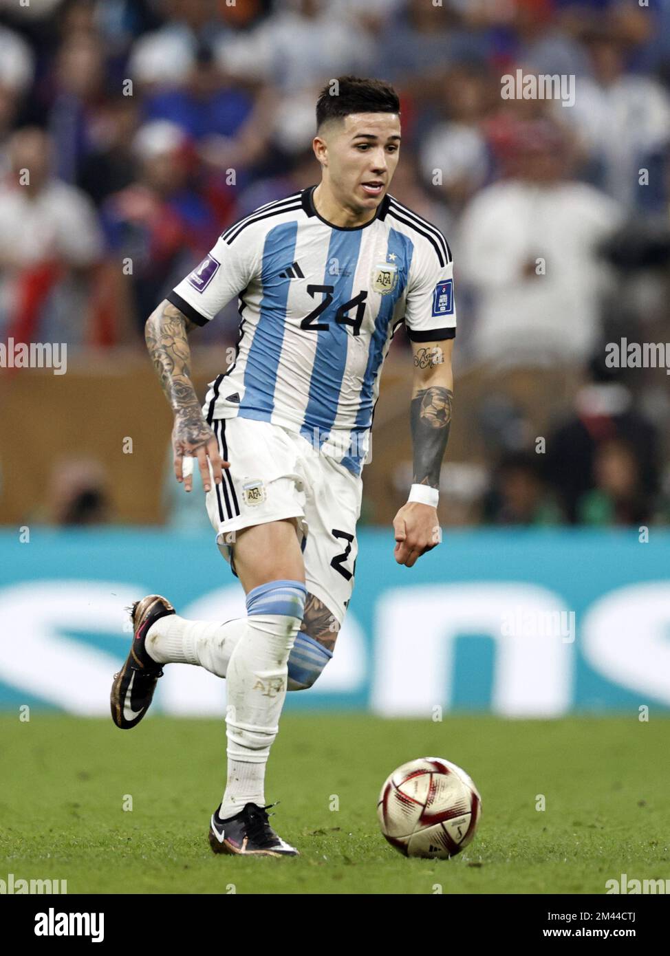 AL DAAYEN - Enzo Fernandez of Argentina during the FIFA World Cup Qatar ...