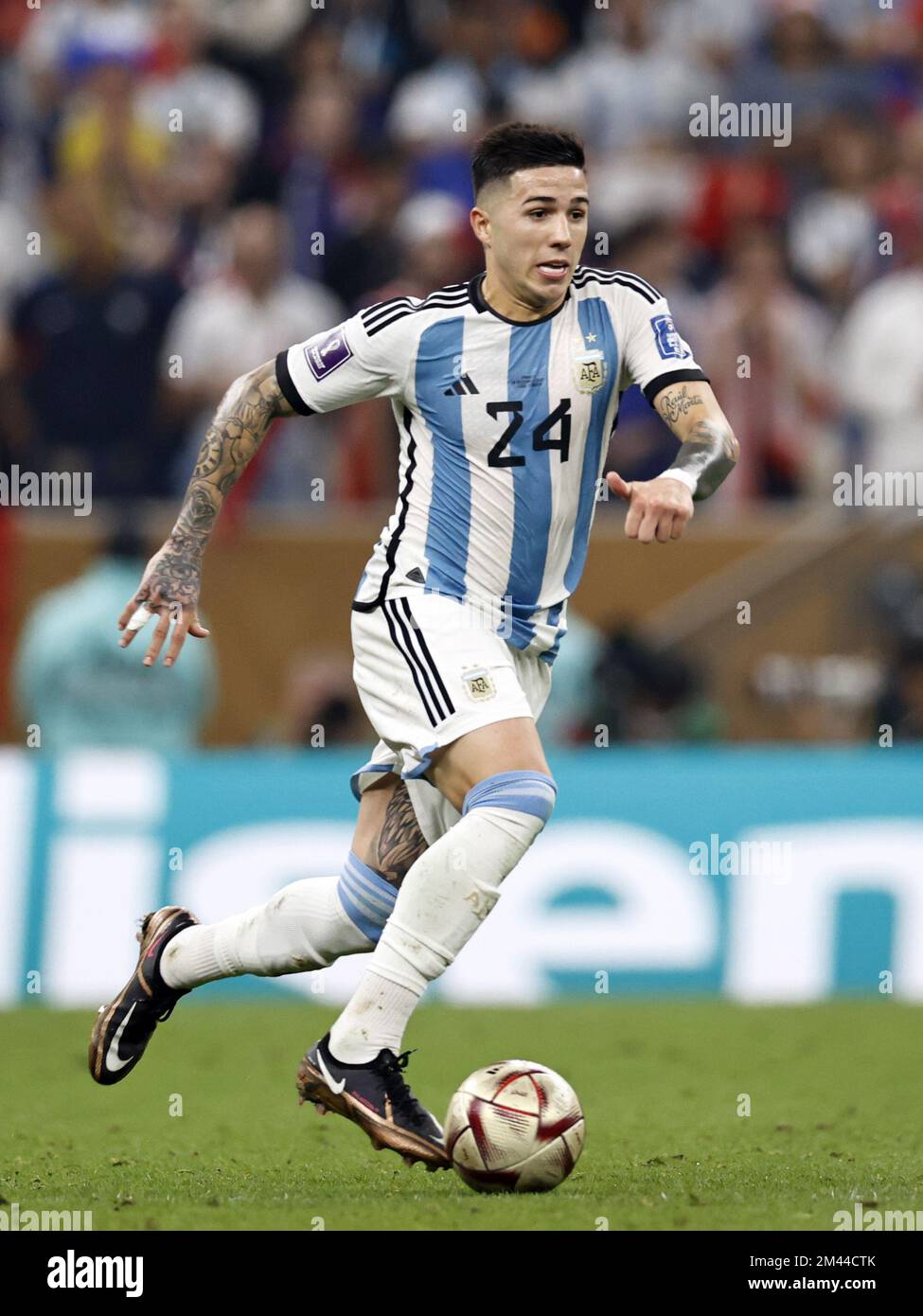 AL DAAYEN - Enzo Fernandez of Argentina during the FIFA World Cup Qatar ...