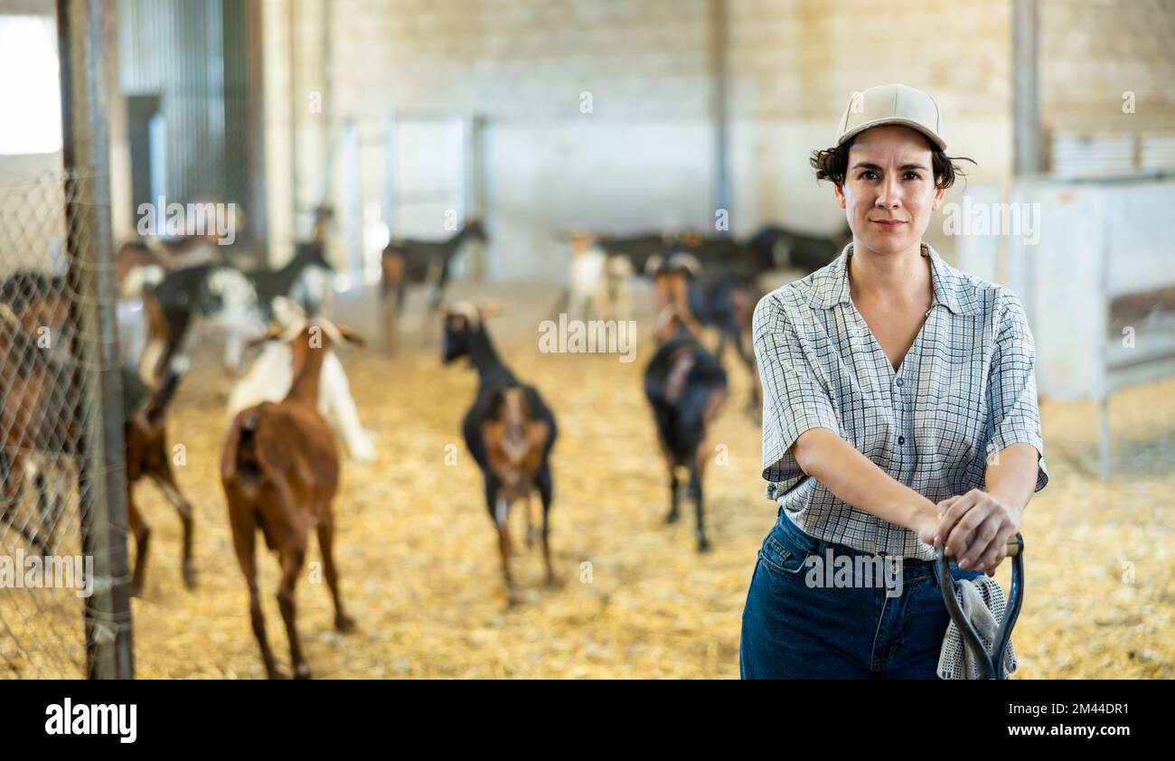 Focused young Latin woman farmer in plaid shirt leveling hay and straw ...