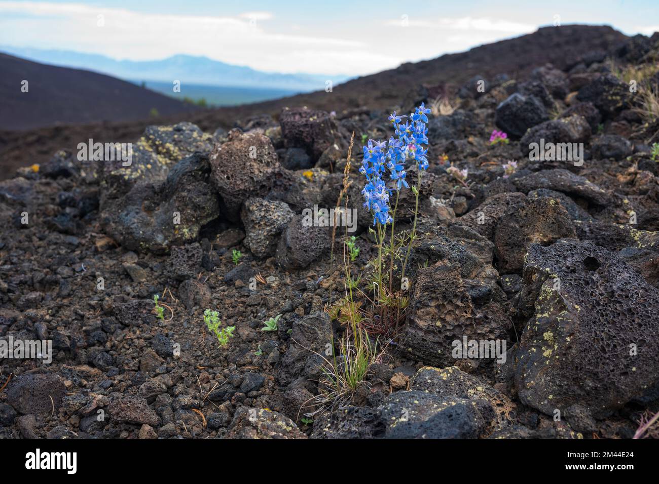 Craters of the Moon National Monument and Preserve near Arco, Idaho is ...