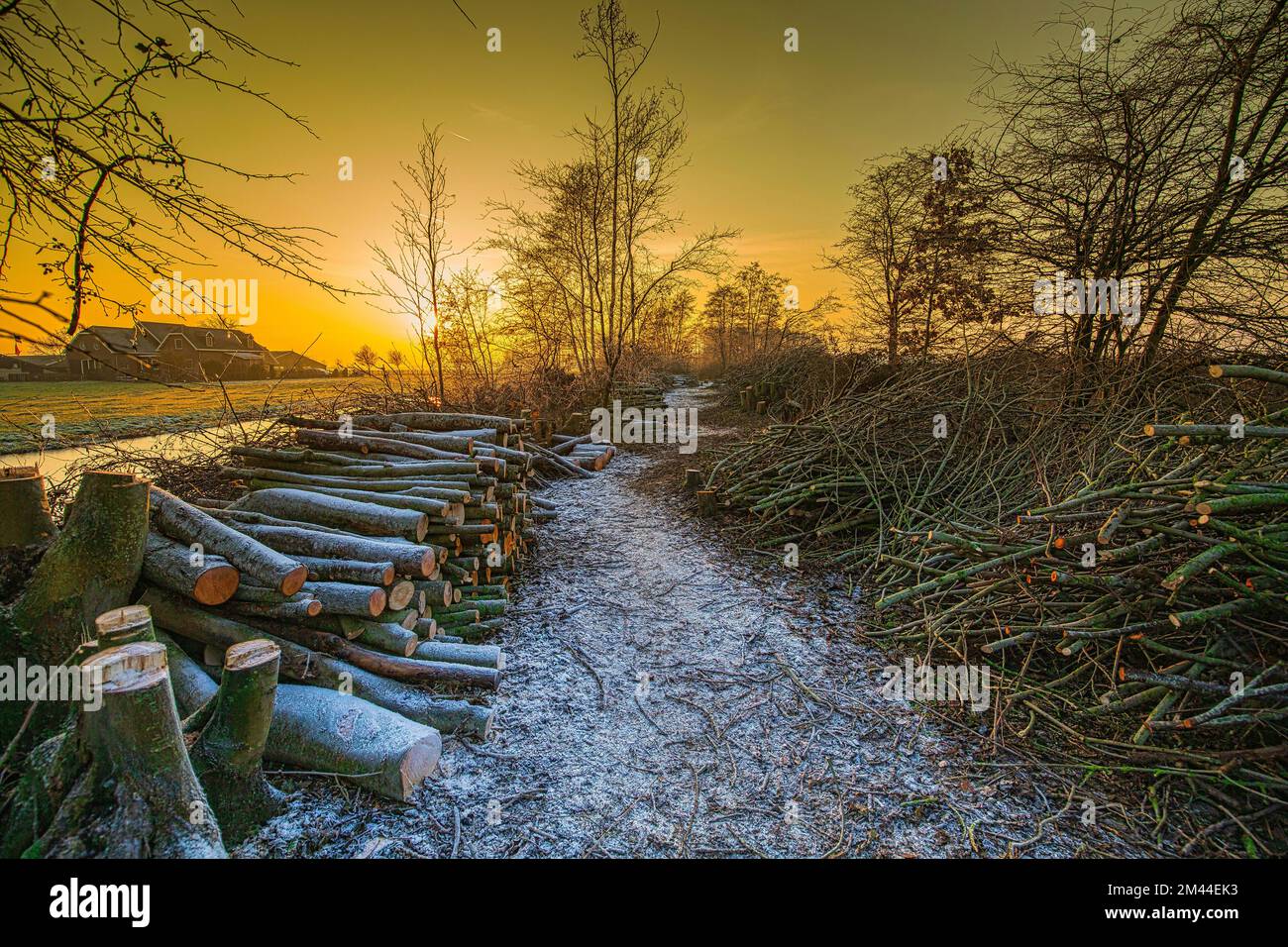 Wintry sunset landscape Spookverlaat Alphen aan den Rijn with stacked ...