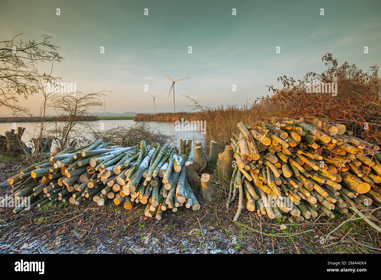 Spookverlaat hi-res stock photography and images - Alamy