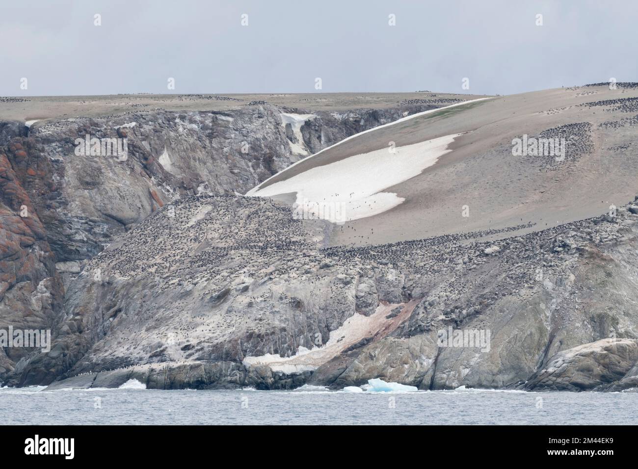 Danger Island Danger On Deception Island | Nancy Drew Games Wiki