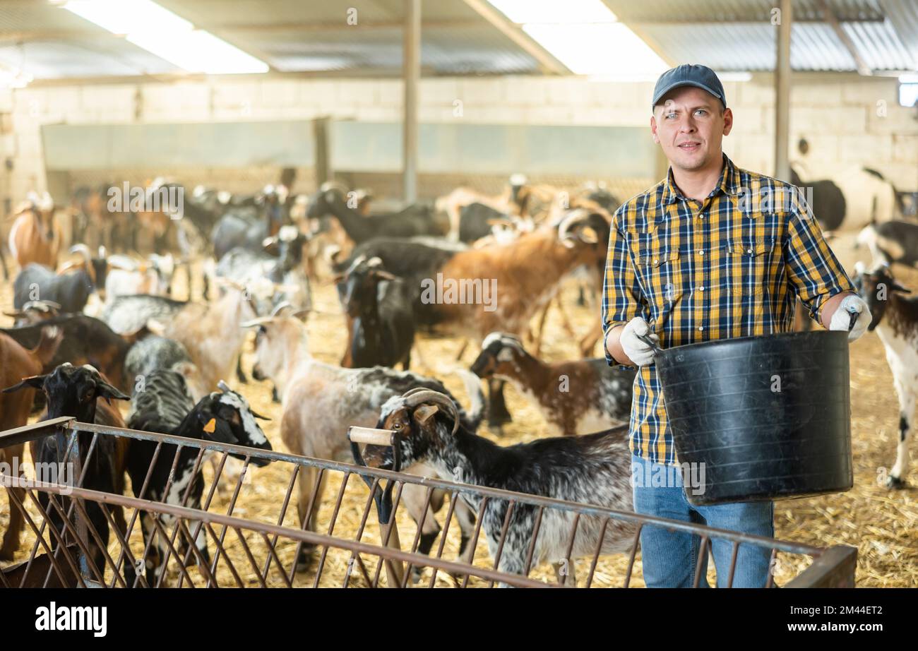 Portrait of male farmer standing with bucket and working in goat ...