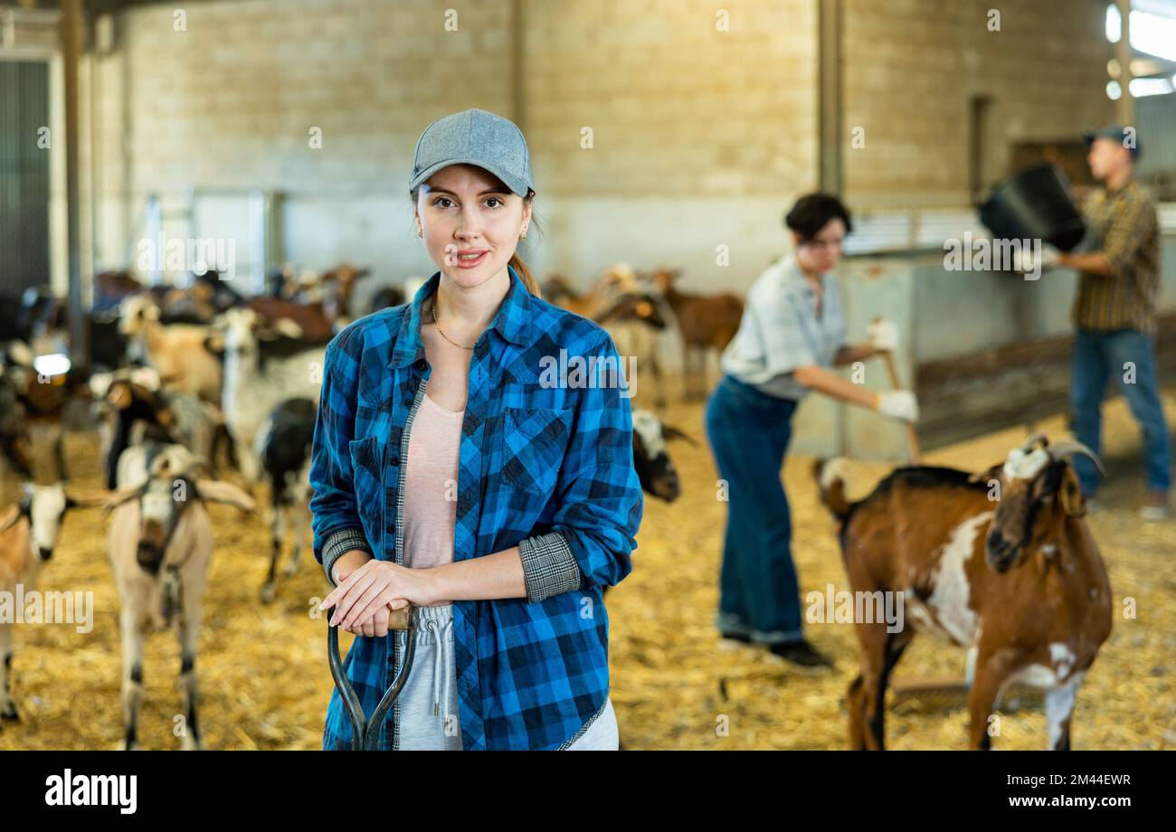 Positive female worker of livestock farm standing in goat stall Stock ...