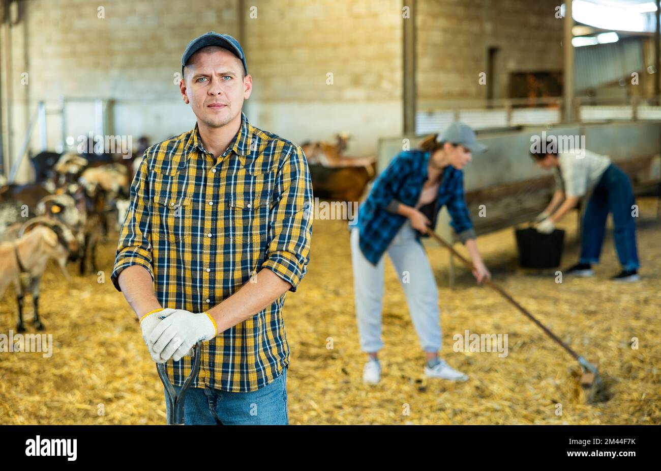 Portrait of focused busy Latin female employee working with hay and ...