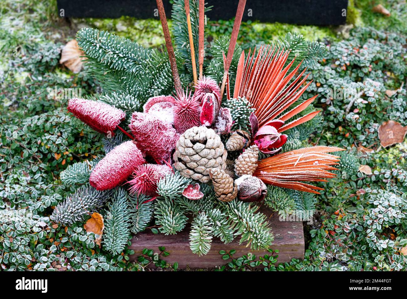 typical german winter grave arrangement on a grave with hoar frost ...