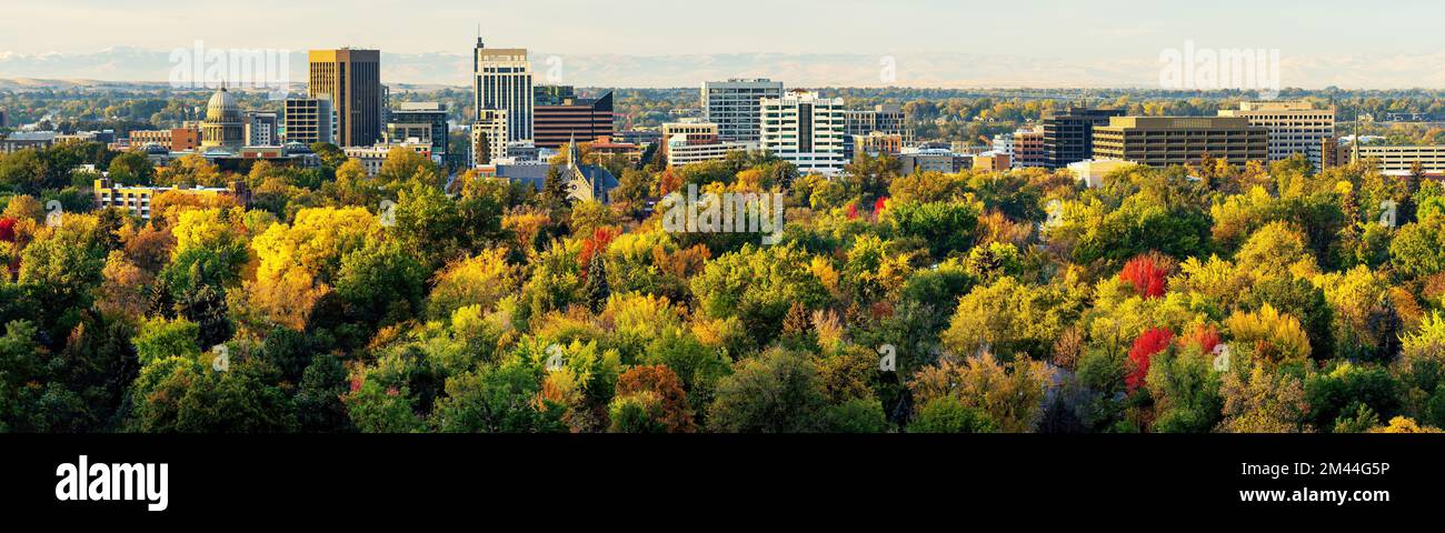 Autumn fall colors in the city of trees skyline Stock Photo - Alamy