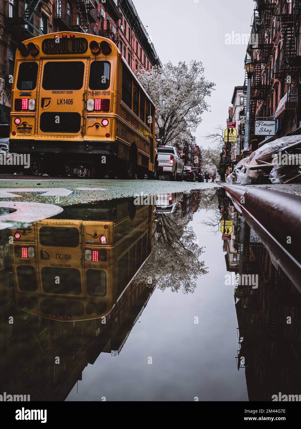 Bus puddle hi-res stock photography and images - Alamy