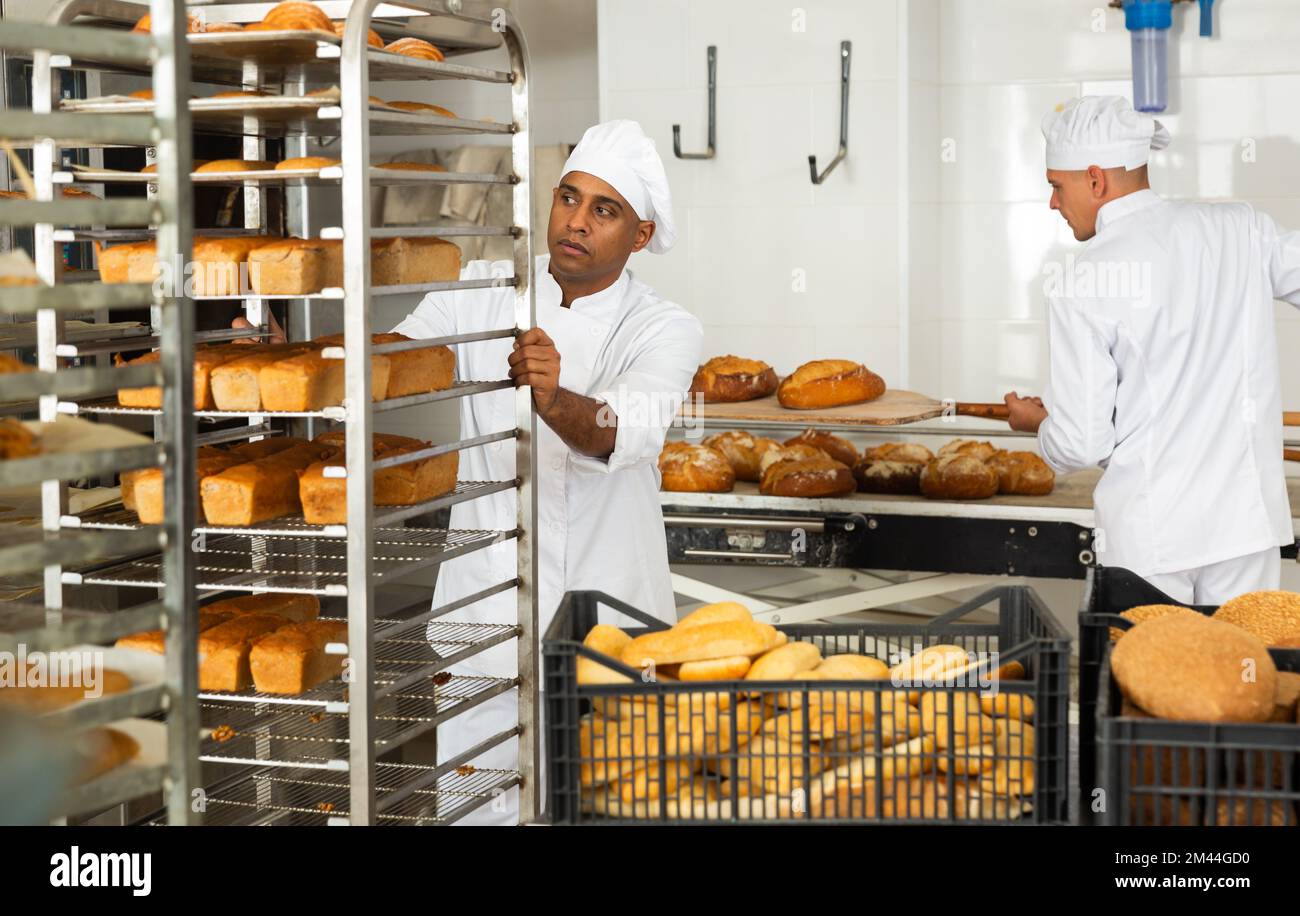 Confident baker carrying rack trolley with bread Stock Photo - Alamy