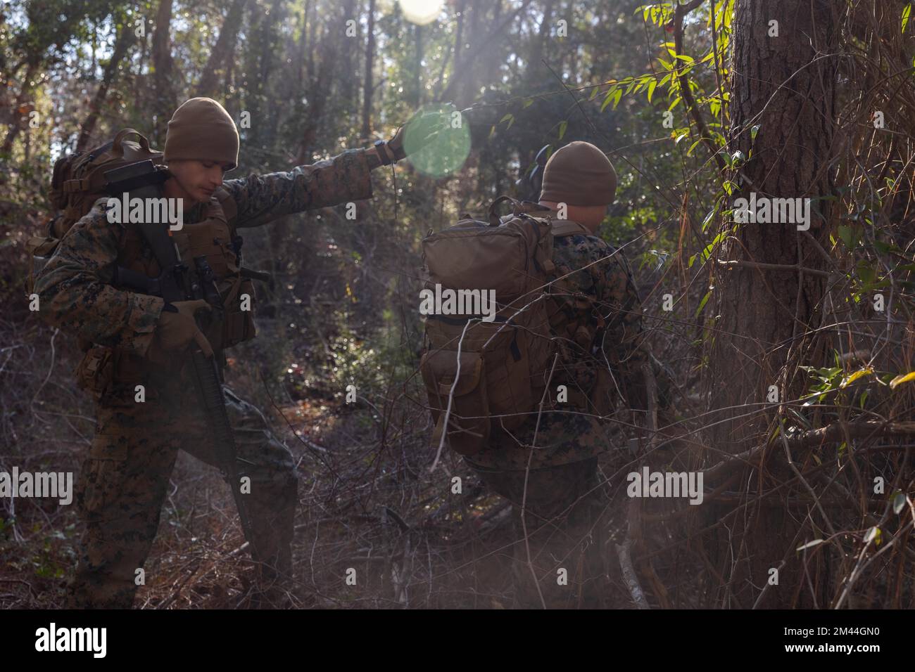 U.S. Marines with Ground Sensor Platoon, Intelligence section, 26th ...