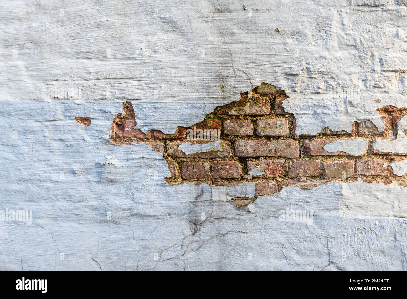 Wall the style vintage white background of old cement brick texture has ...