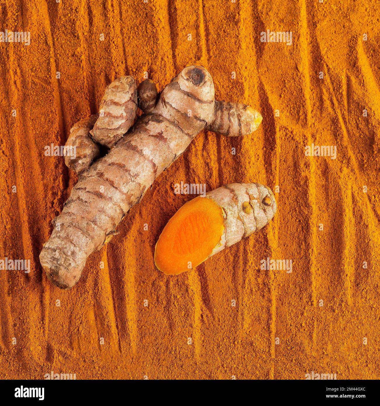 Turmeric powder, fresh root - Curcuma longa Stock Photo - Alamy