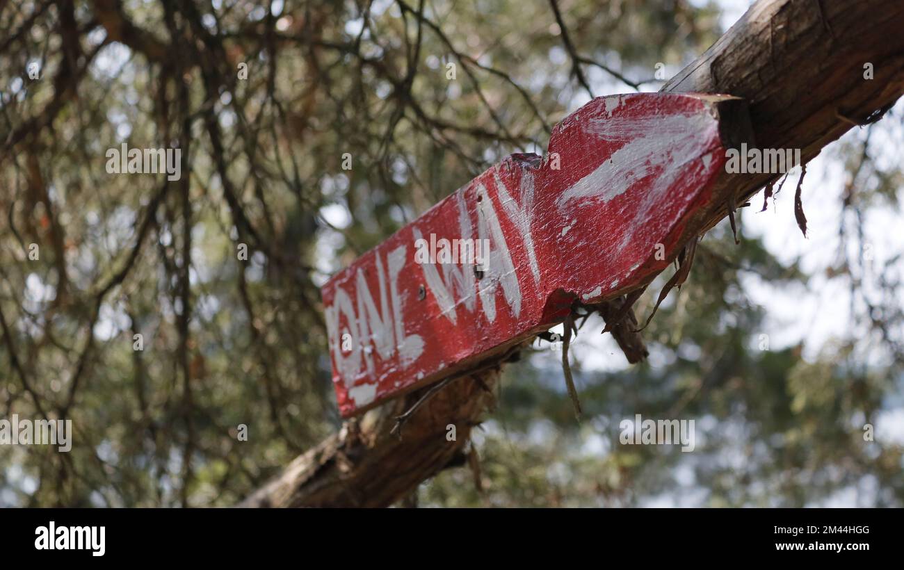 A close-up shot of a wooden "one way" sign hanging on a tree branch ...