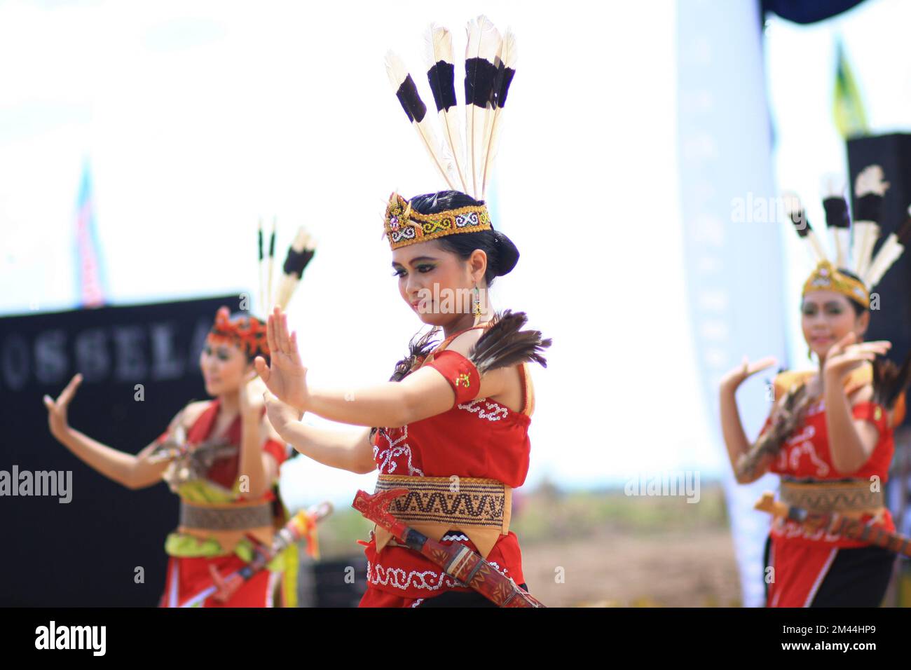 A Dayak woman dancing for a traditional Dayak procession Stock Photo ...