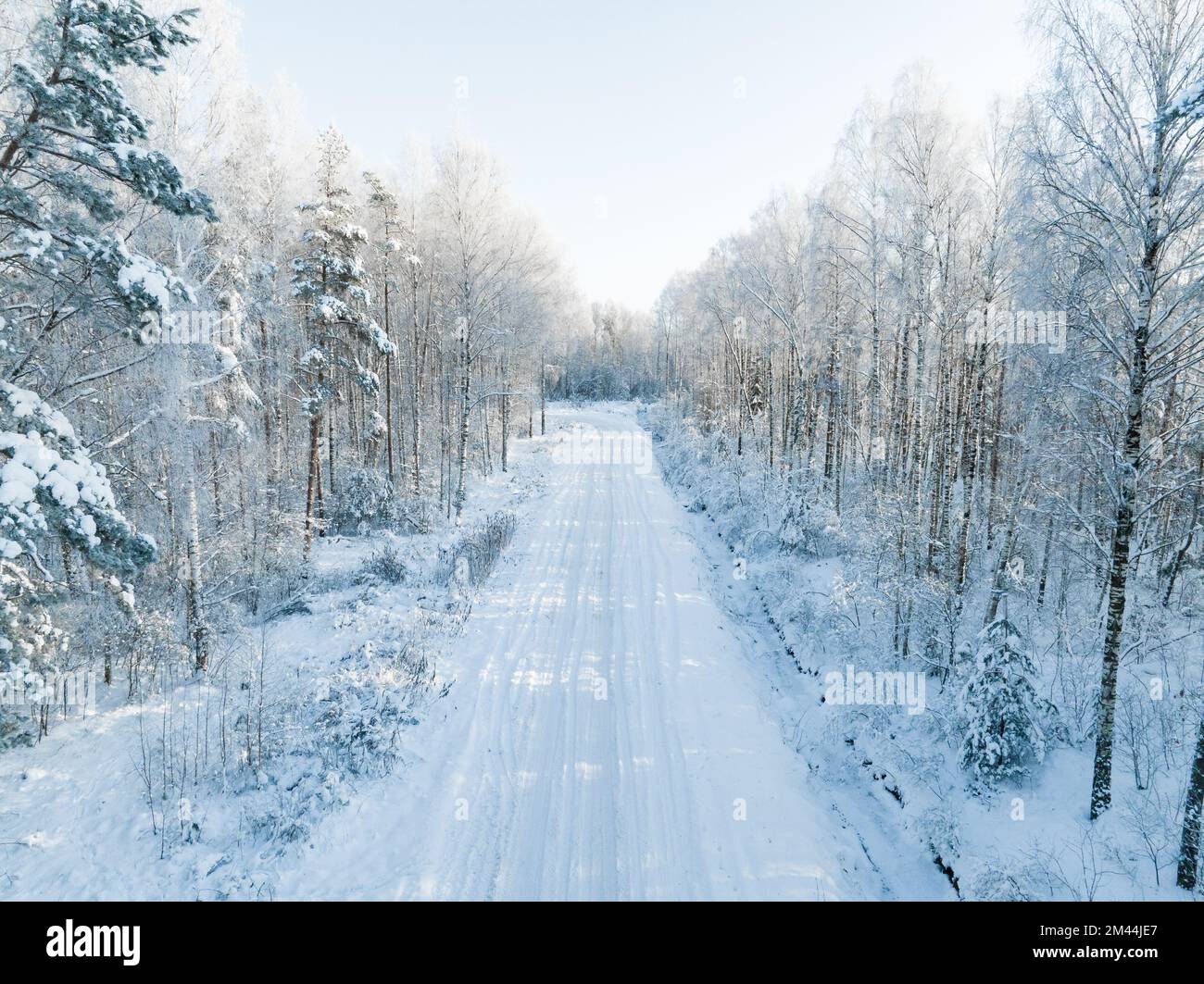 Forest in snow. Snowy forest road. Forest road from above Stock Photo ...