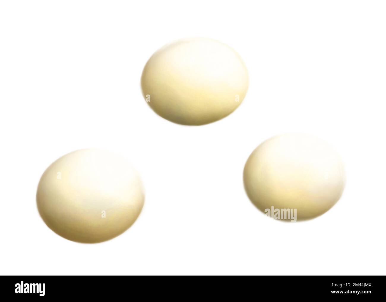 Stag beetle (Lucanus cervus), realistic illustration of the eggs ...