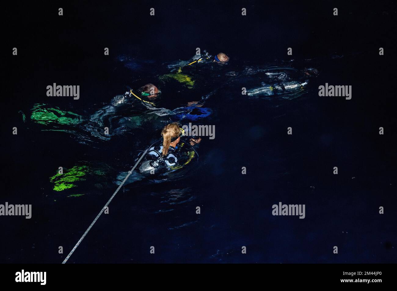 Divers swim at night on boat line line from dive boat sea surface water ...