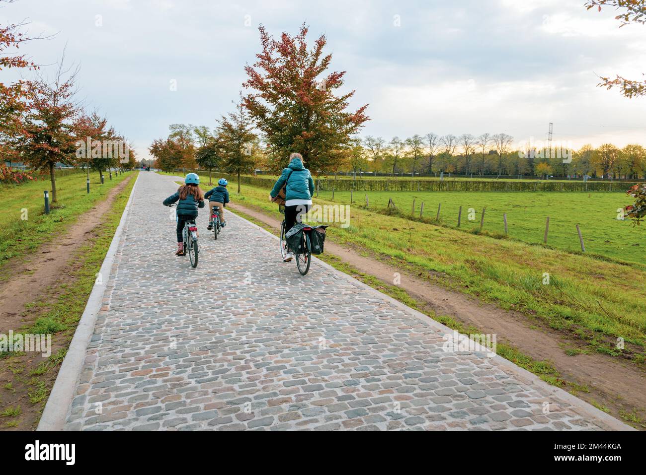 Cycling trip with the family in the autumn park. Mom and two children ...