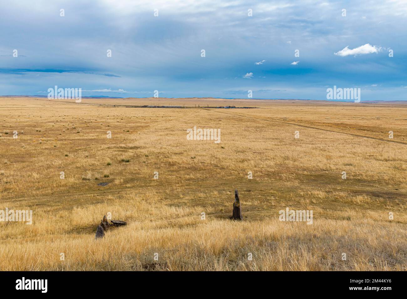 Kirghiz Steppe Grassland