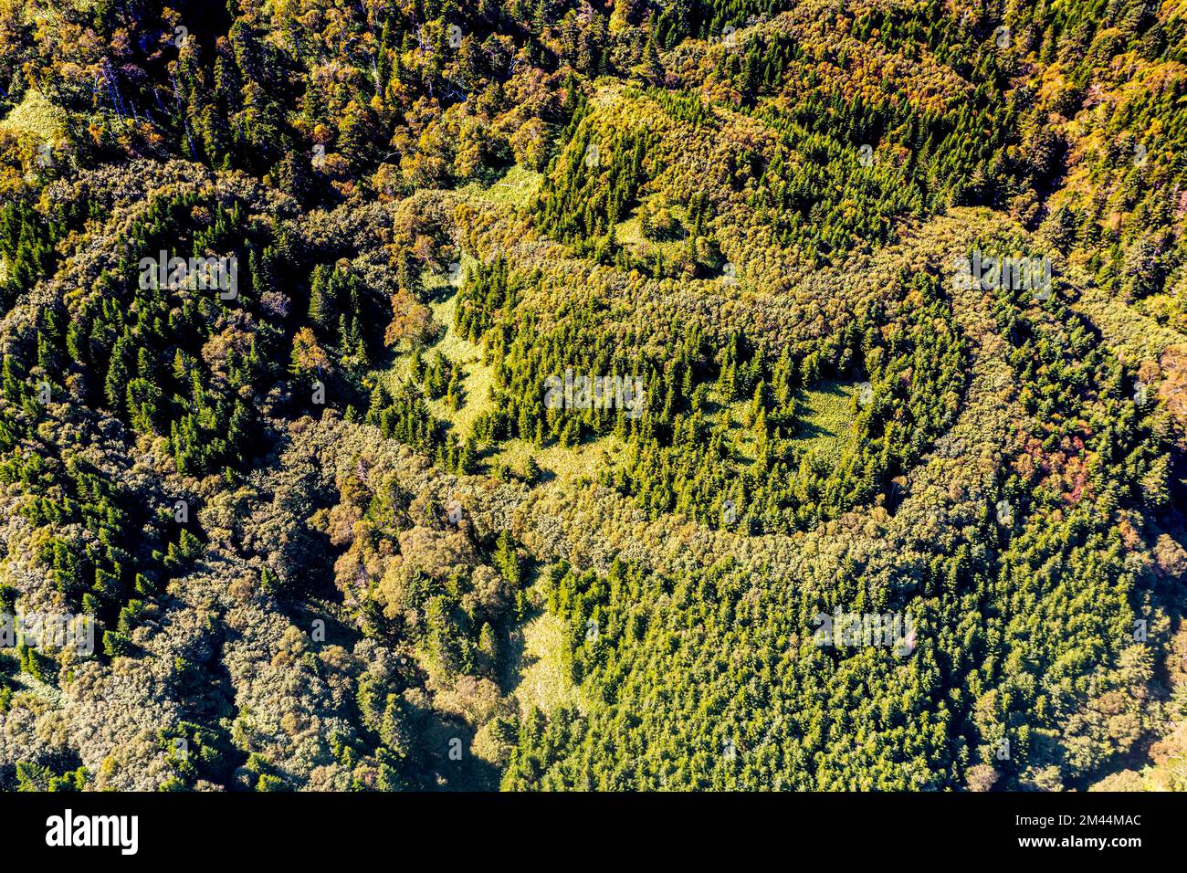 Overlook over the forested south coast of Sakhalin, Russia Stock Photo ...
