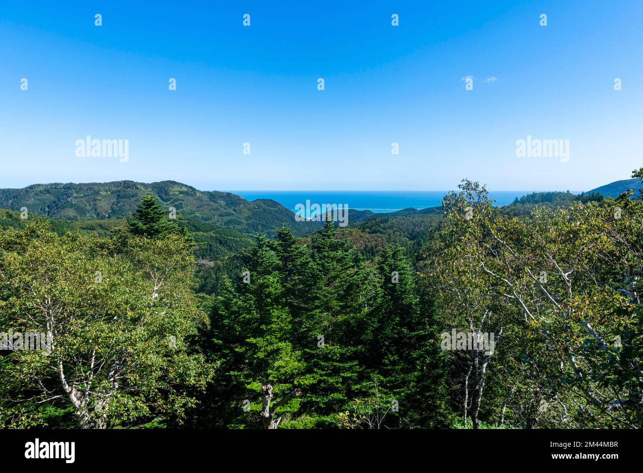 Overlook over the forested south coast of Sakhalin, Russia Stock Photo ...