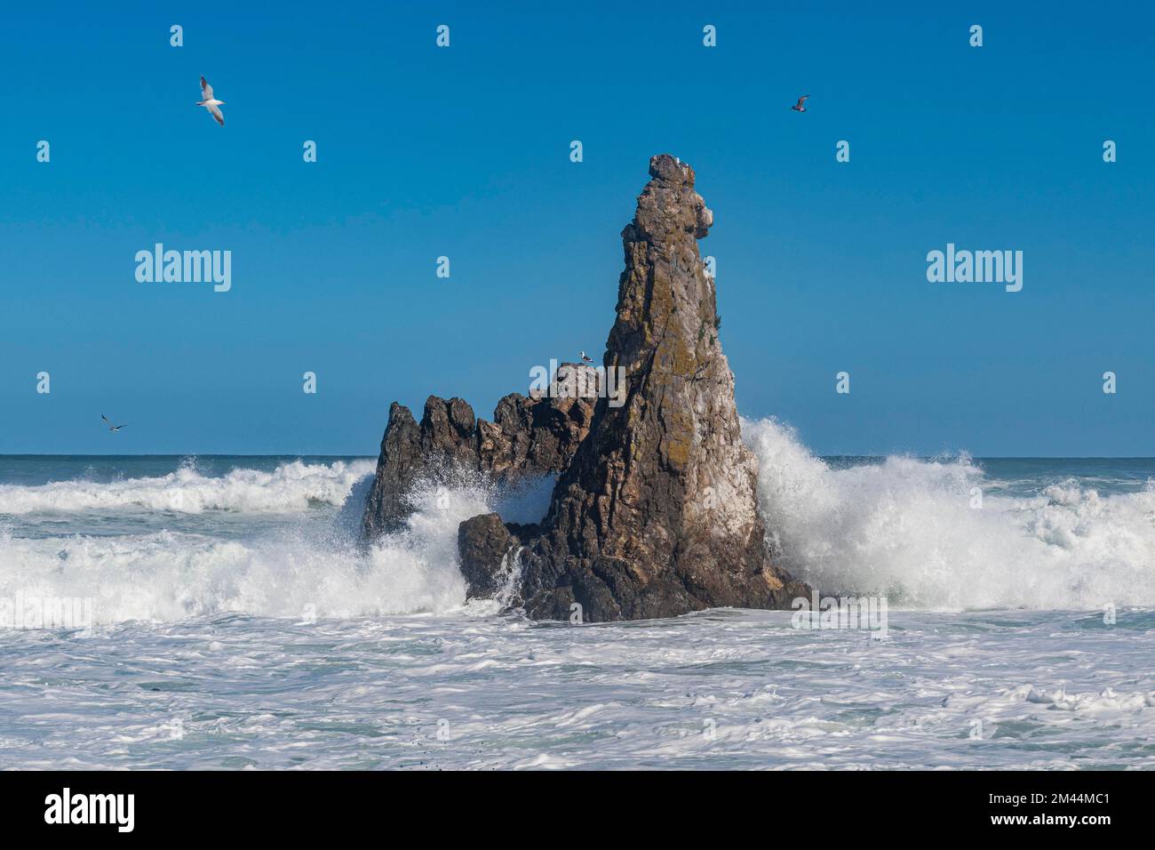 Giant rock outcrop, Cape giant, Sakhalin, Russia Stock Photo - Alamy