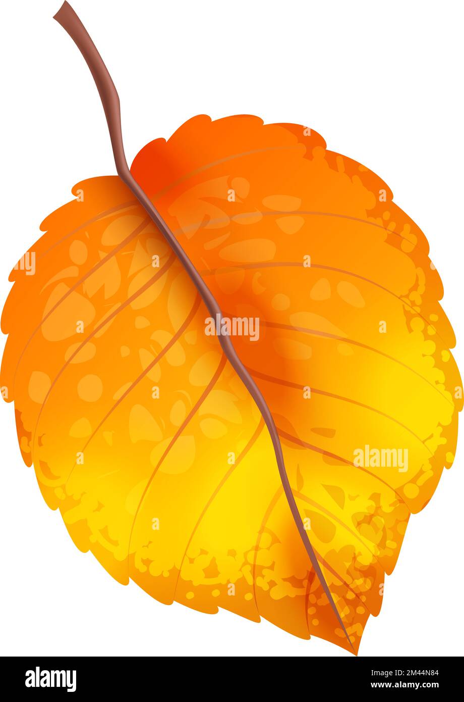 Realistic autumn leaves. Fall orange wood foliage. Fallen yellow leaf ...