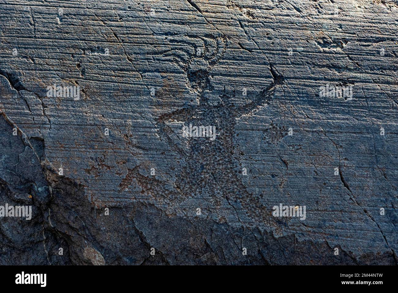 Unesco world heritage site Rock Engravings National Park of Naquane ...