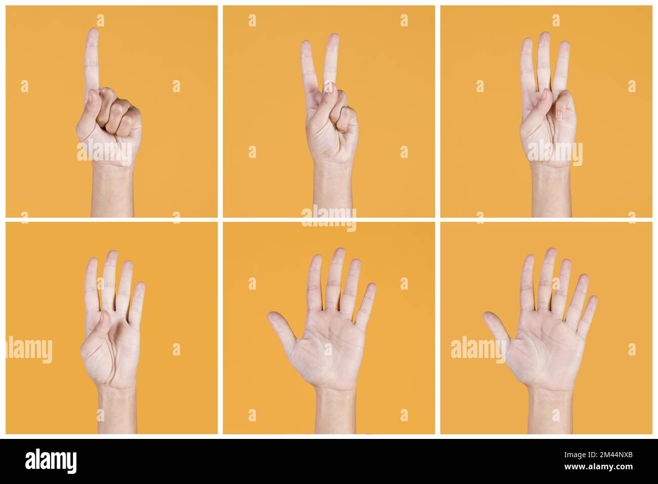 Collage one five fingers count signs yellow backdrop Stock Photo - Alamy