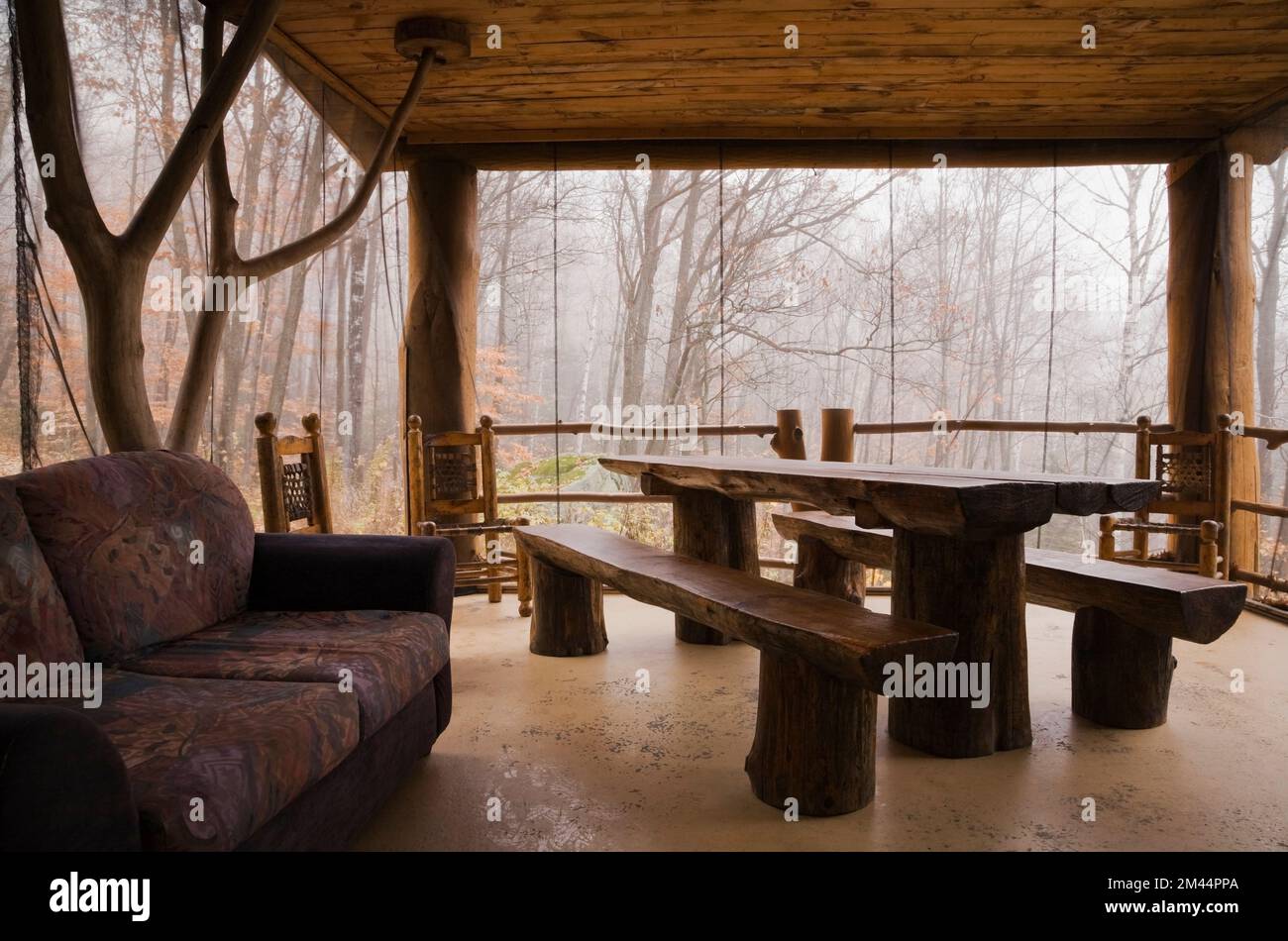 Sunroom tree hi-res stock photography and images - Alamy