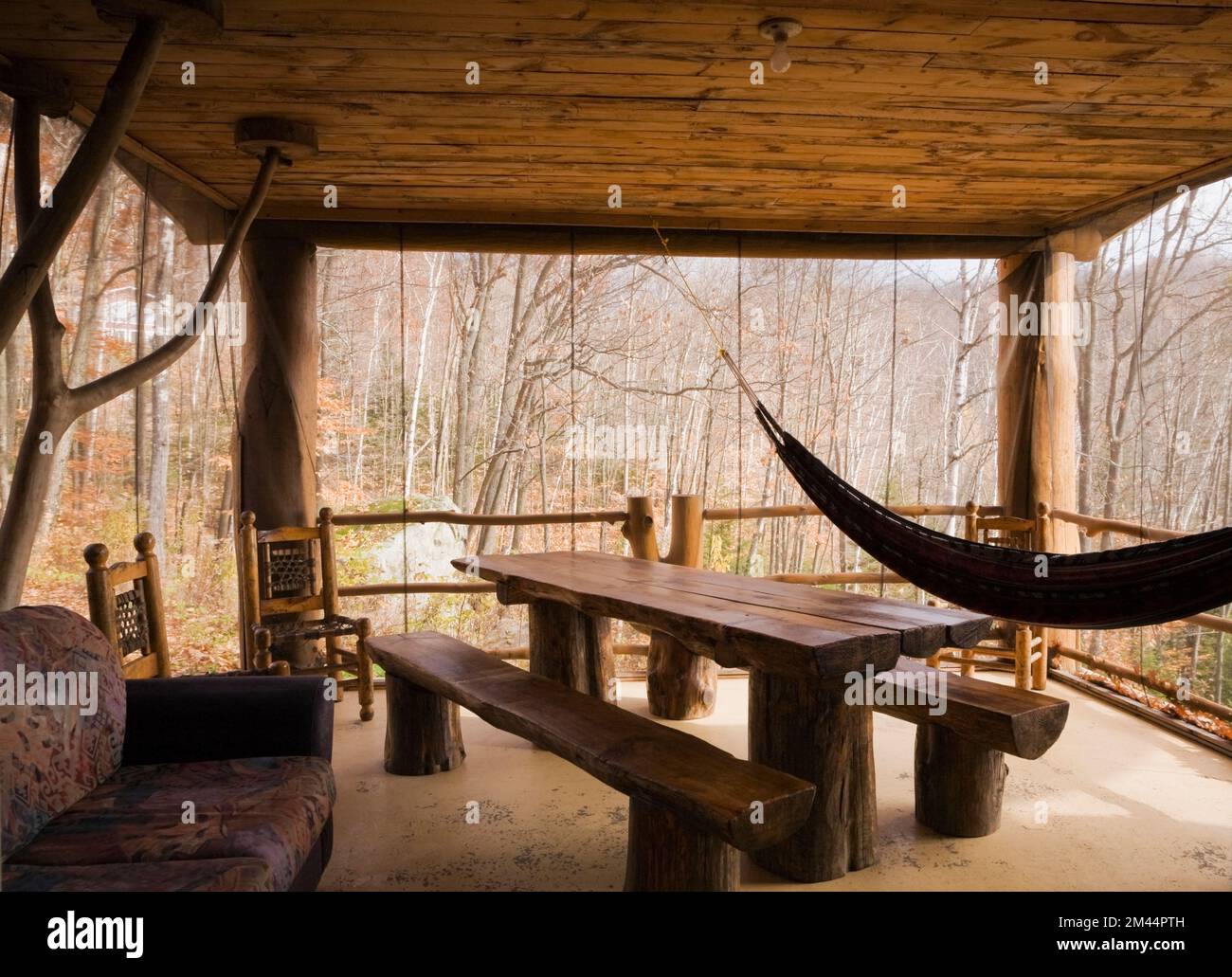 Stained and varnished split log dining table and benches in sunroom ...