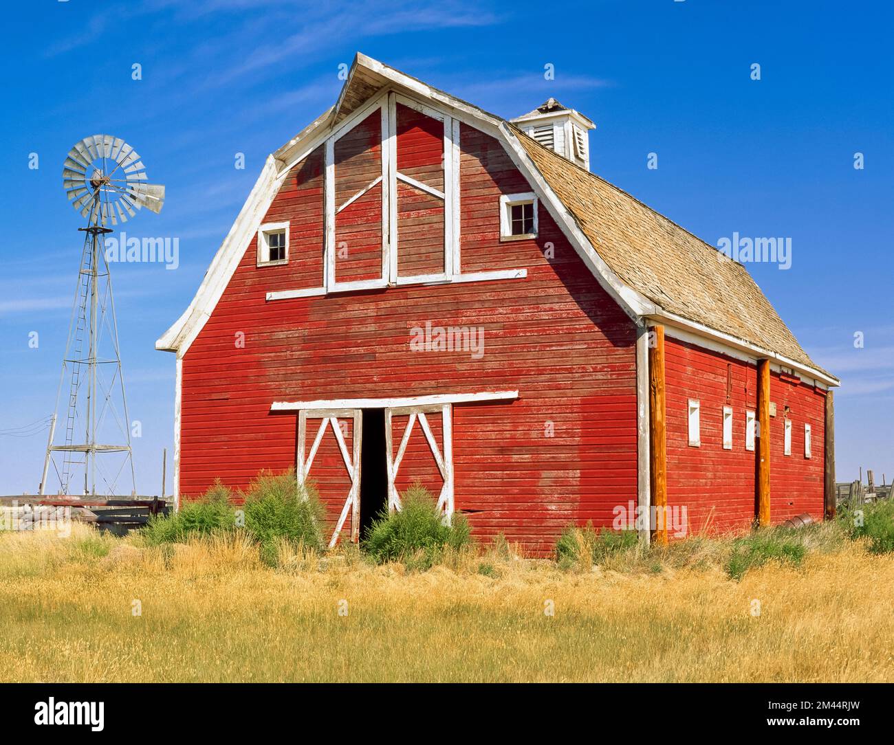 red barn and windmill on farm near big sandy, montana Stock Photo - Alamy
