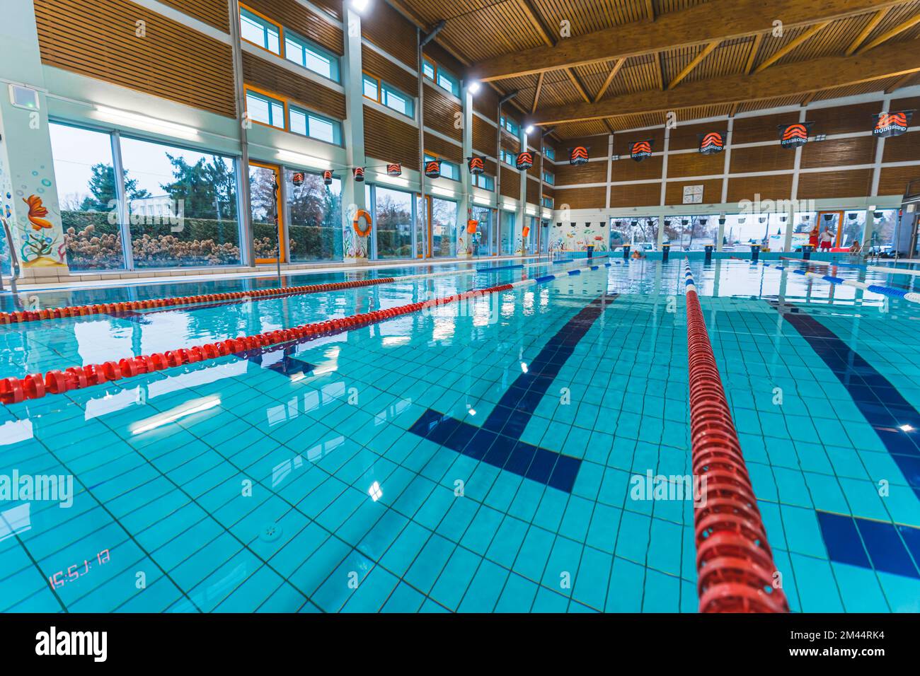 05.12.2022 Ozarow Mazowiecki, Poland - Mid shot of a still swimming ...