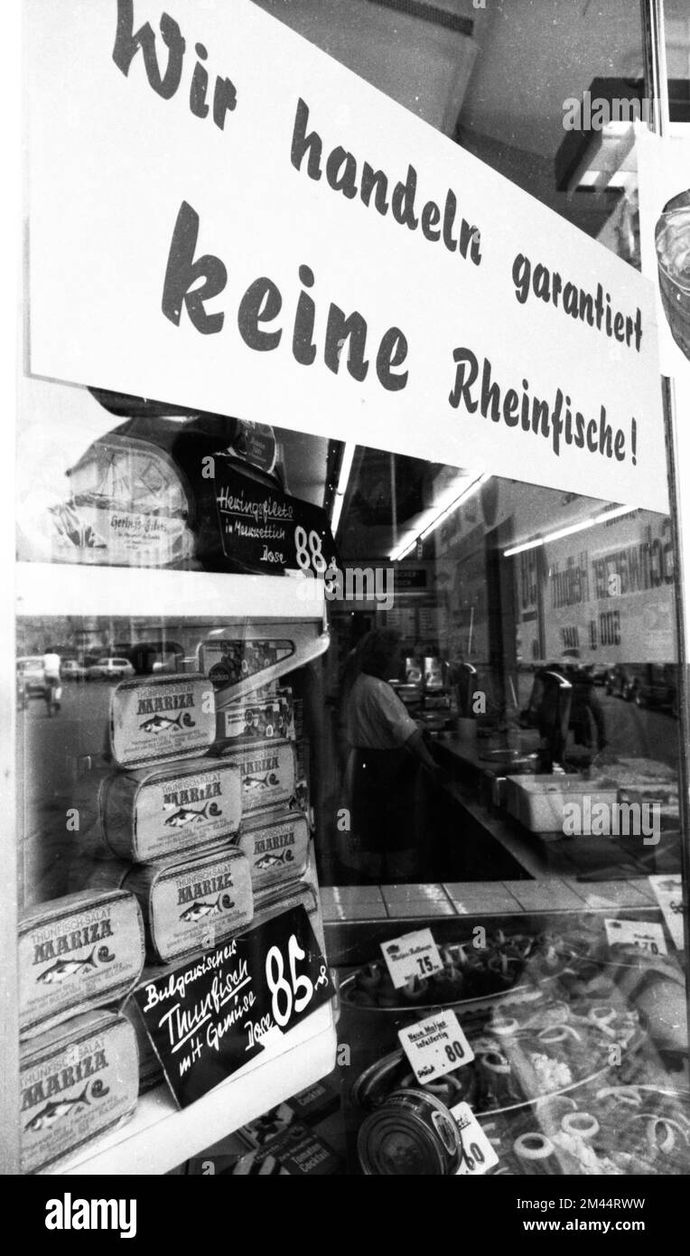 The poison accident on the Rhine, here on 20. 3. 1969, had terrible ...