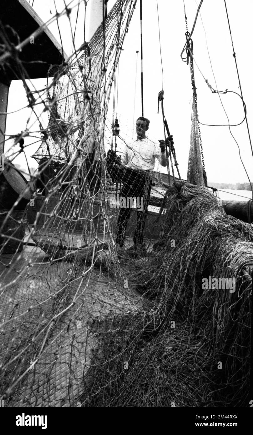 The poison accident on the Rhine, here on 20. 3. 1969, had terrible ...
