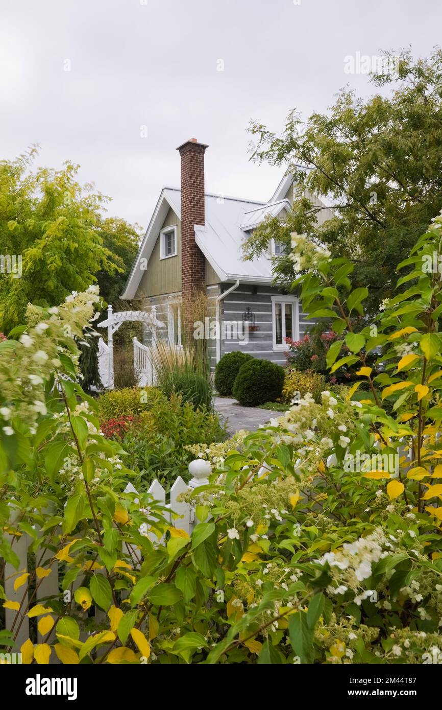 Grey chinked log home framed by perennial and deciduous trees in ...