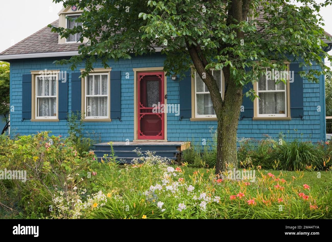 Blue cedar tree house hi-res stock photography and images - Alamy