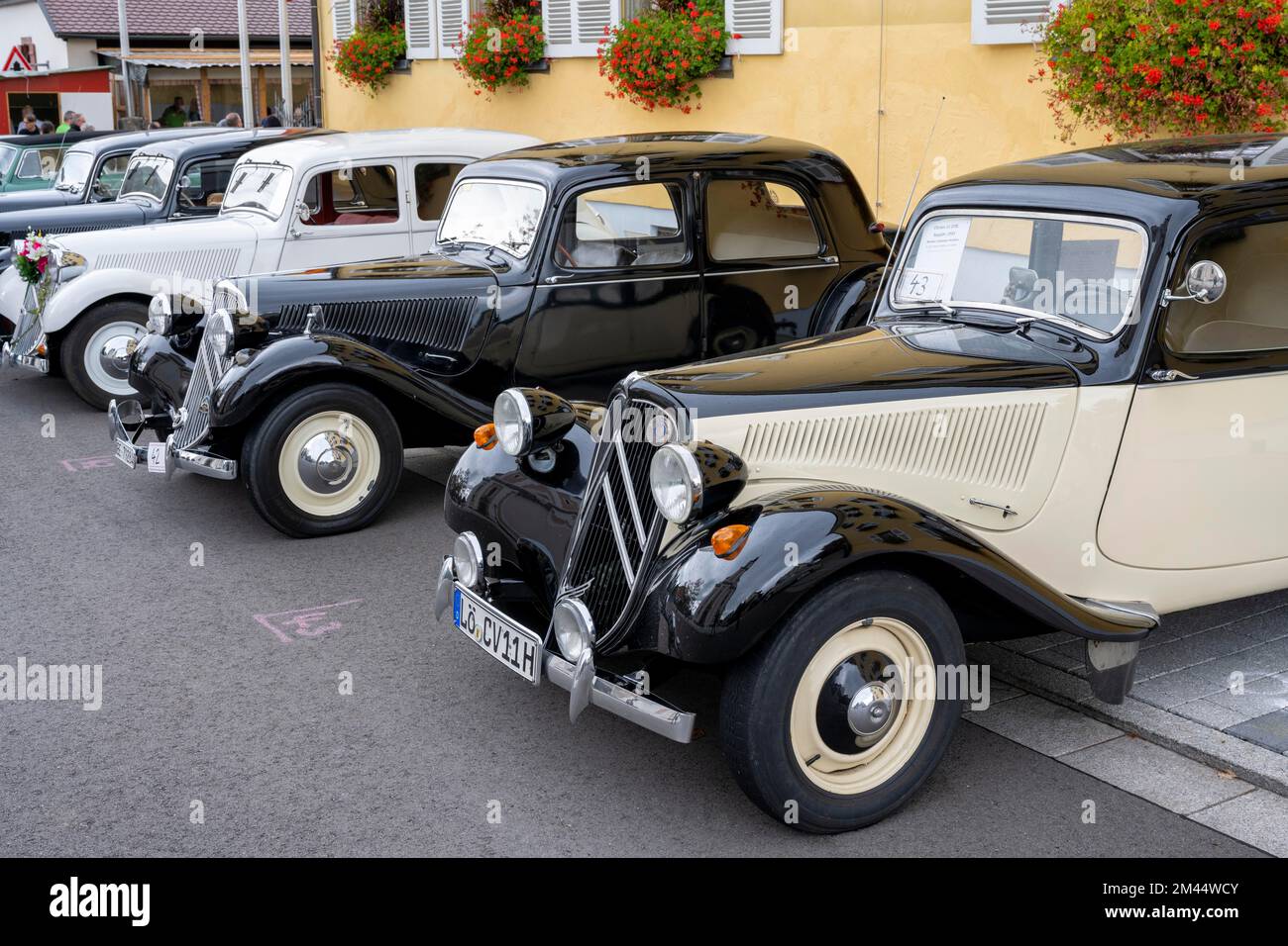 Vintage Citroen 11 CV, built approx. 1953, lined up in a parking lot ...