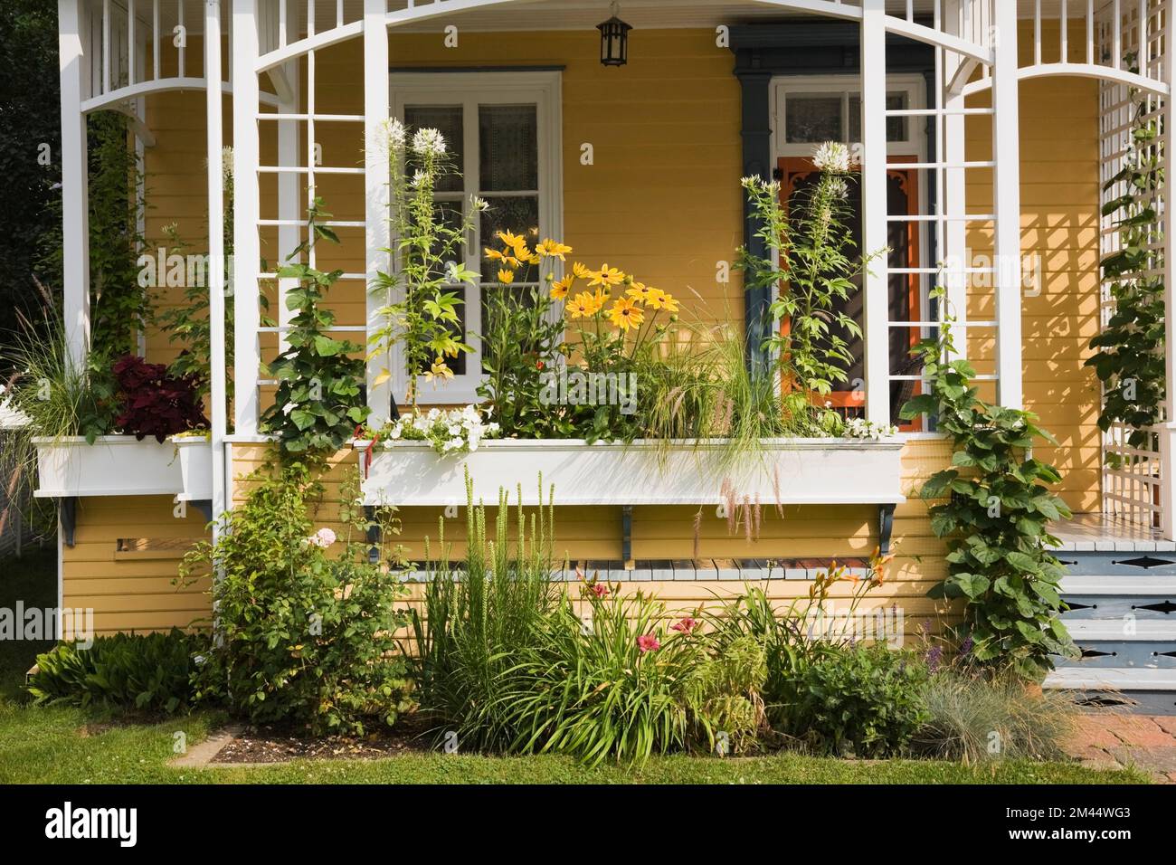 Old house veranda with white wooden framework and flower box in summer ...