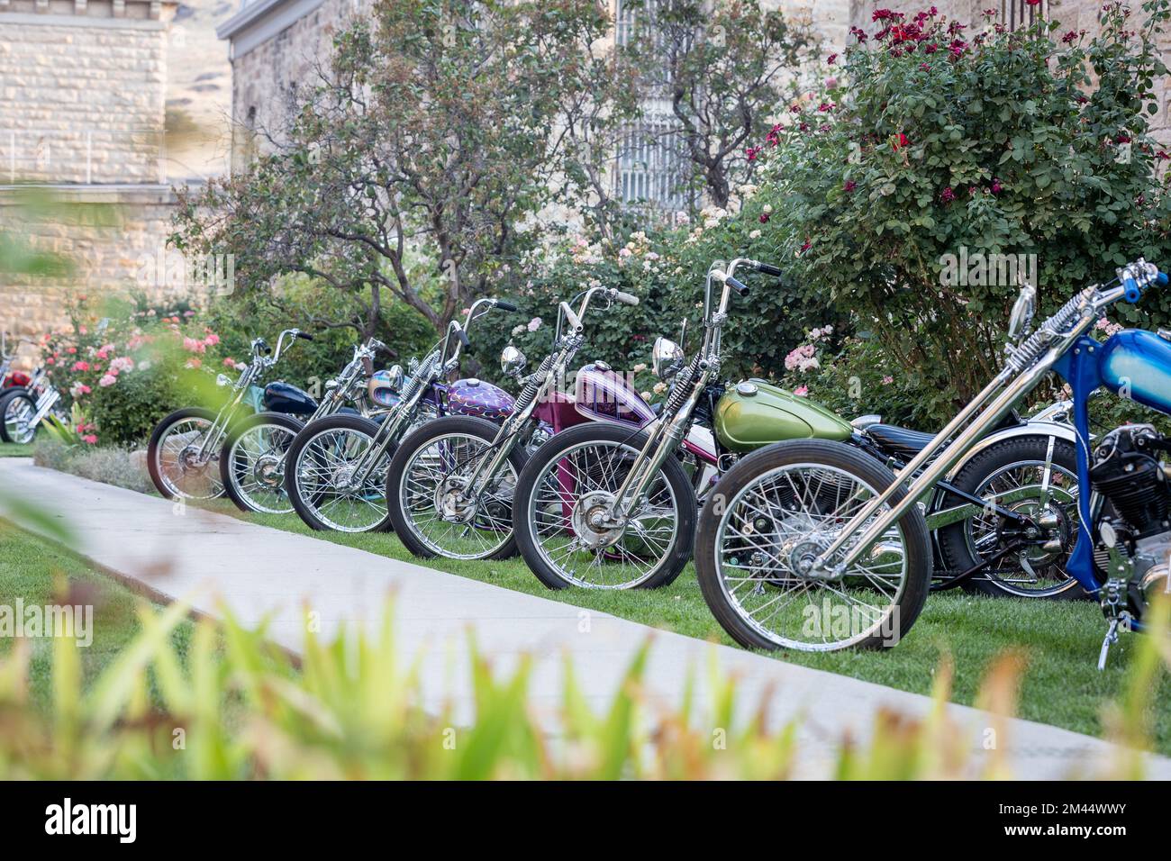 Motor vehicle party hi-res stock photography and images - Alamy