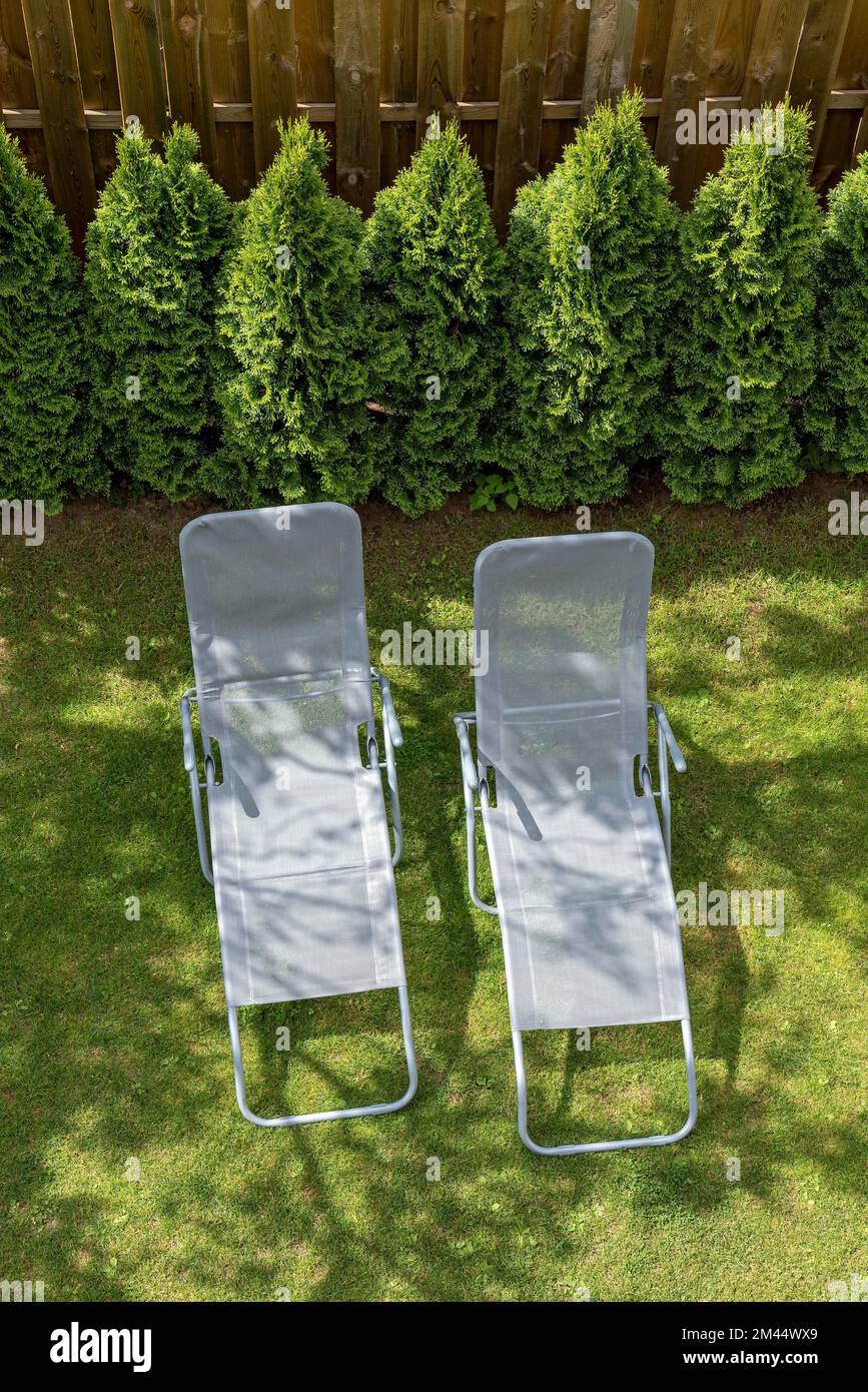 Two garden loungers in a meadow, arborvitaes (Thuja) or Thujen, hedge ...