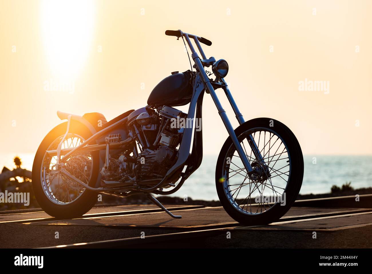 Harley Panhead Stock