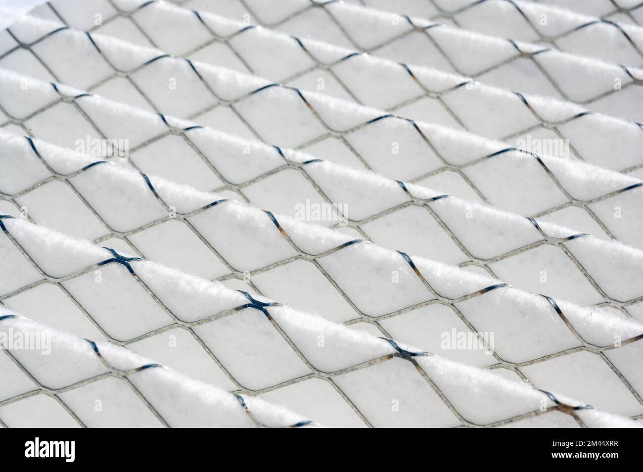 Pollen circulation hi-res stock photography and images - Alamy